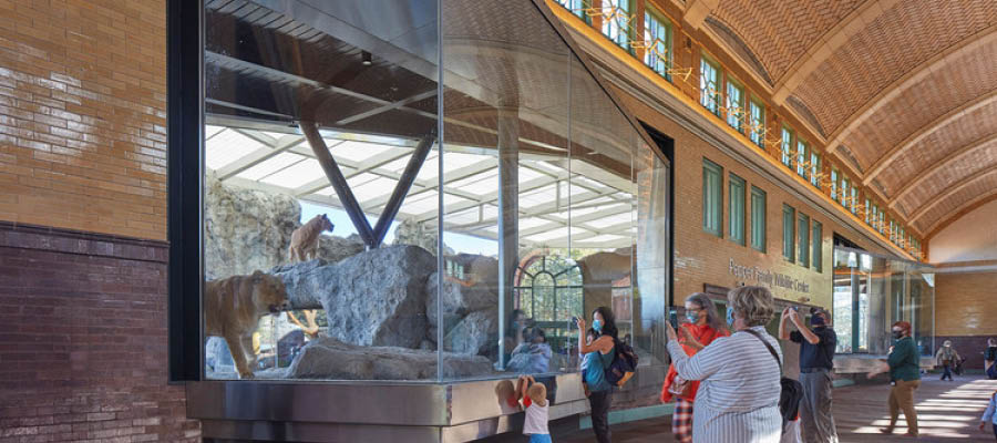 Zoo Glass & Aquarium Glazing – AGNORA